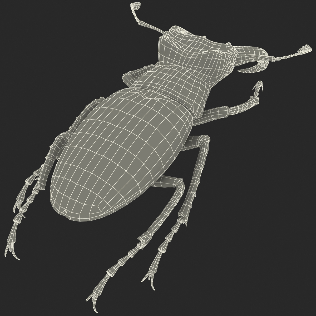 insects v6 3d model