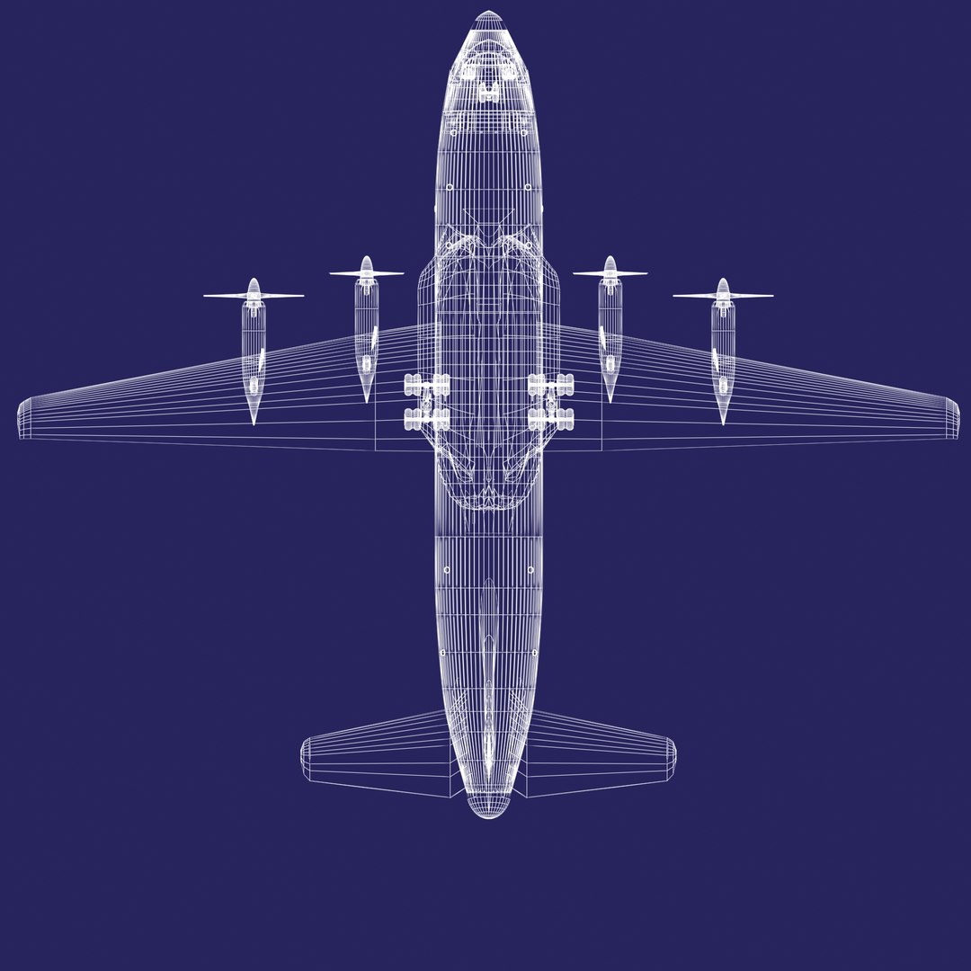 Short Belfast 3D Model - TurboSquid 1393445