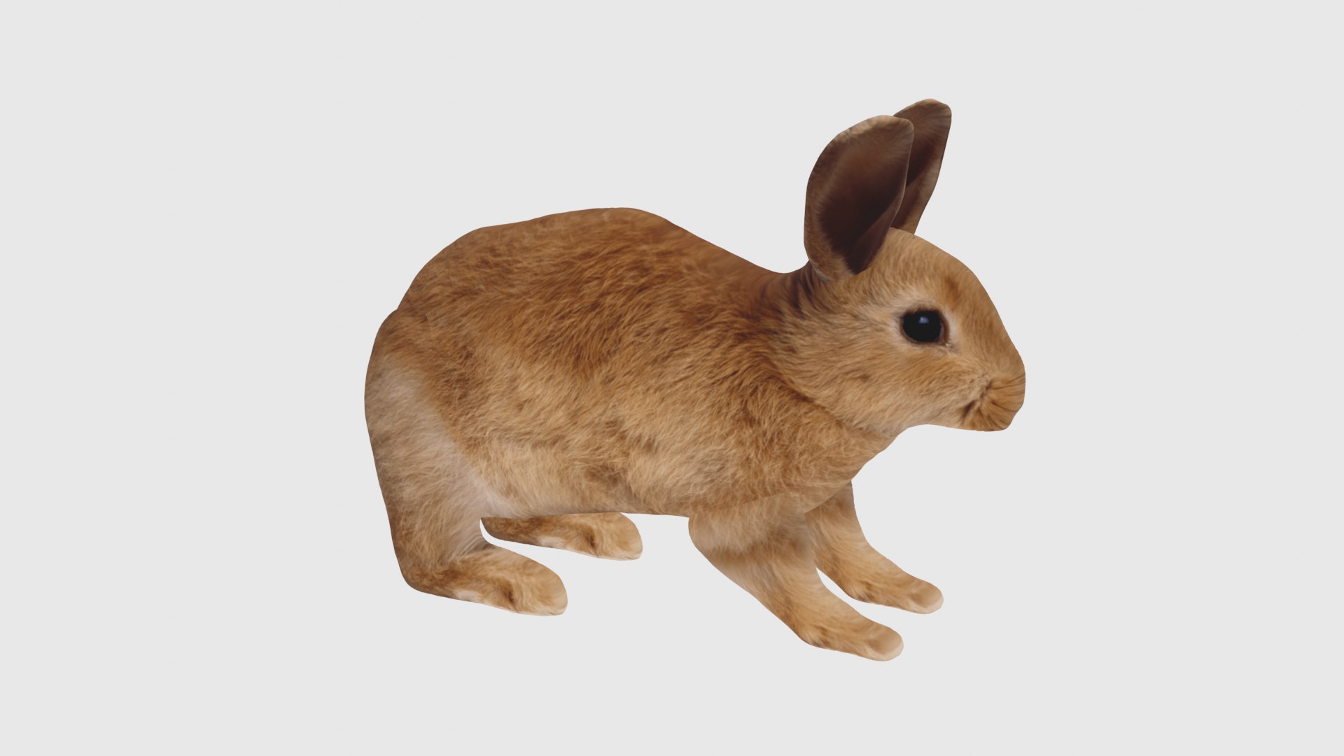 3D Low Poly Rabbit Rigged With Realistic Texture Model - TurboSquid 1876156