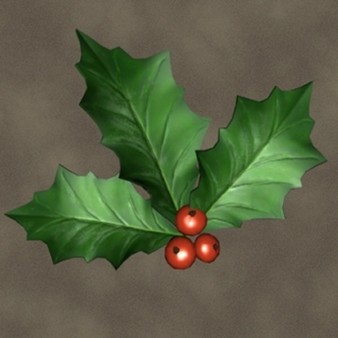 Hollyspray Zipped 3ds