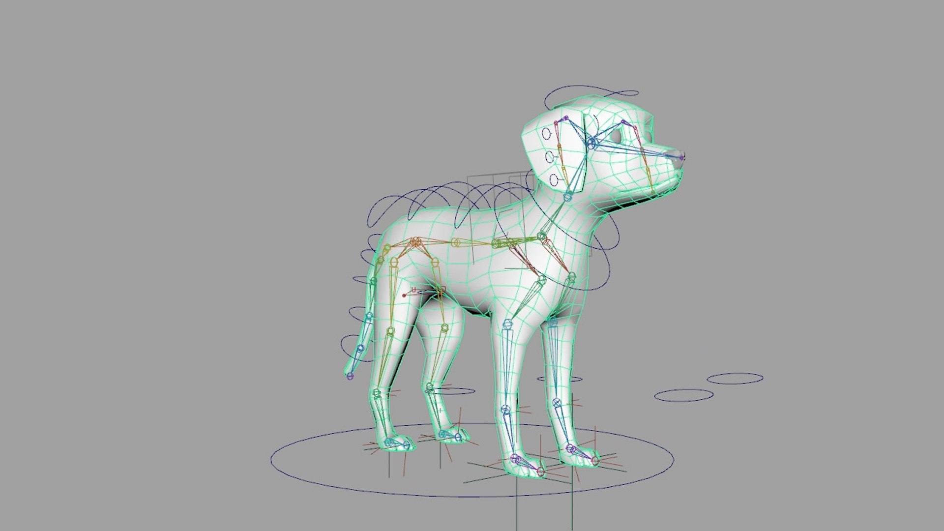 Realistic Cavoodle Dog Rigged 3D - TurboSquid 1446746