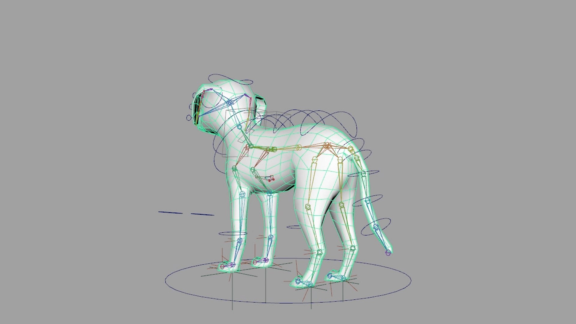 Realistic Cavoodle Dog Rigged 3D - TurboSquid 1446746