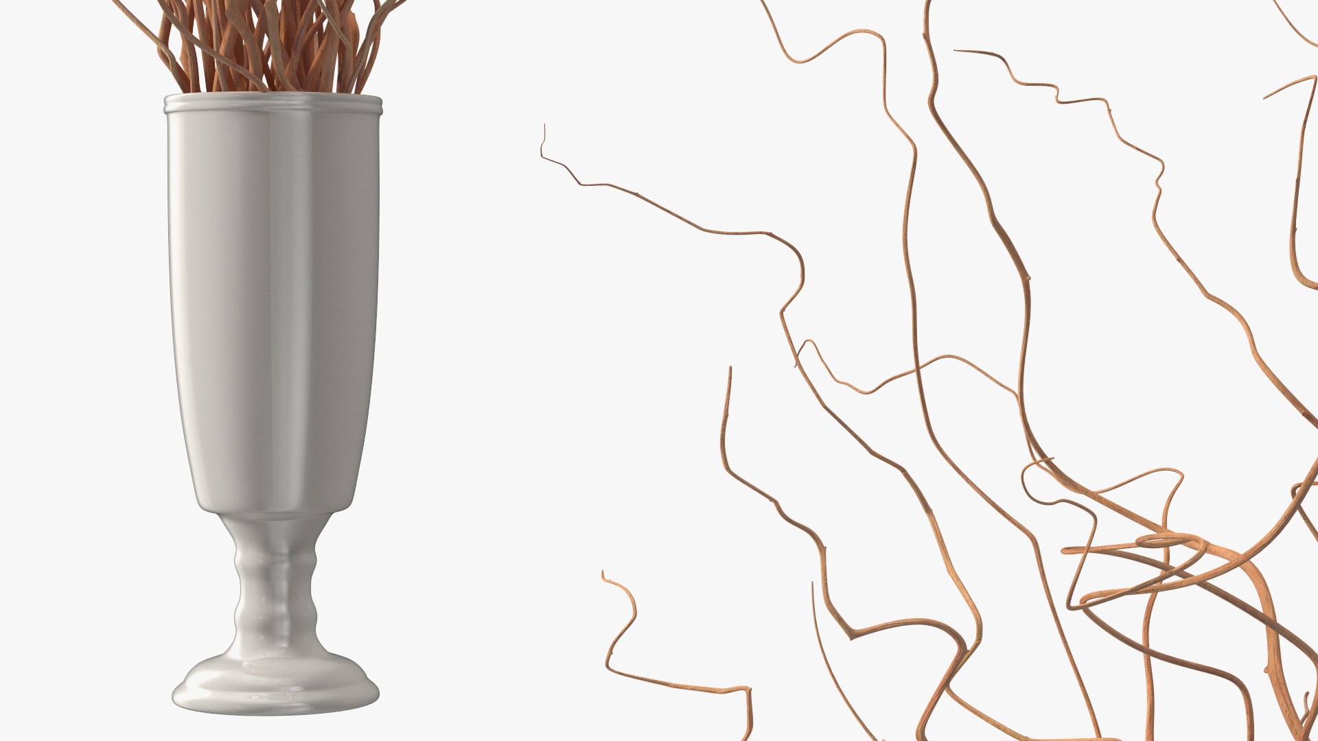 3D Dried Natural Curly Willow in Porcelain Vase model - TurboSquid 2040336