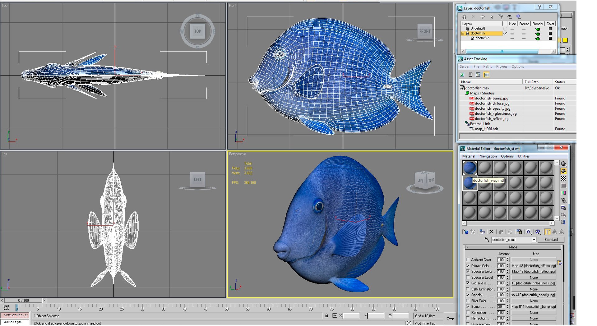 Doctorfish doctor fish 3D model - TurboSquid 1312142