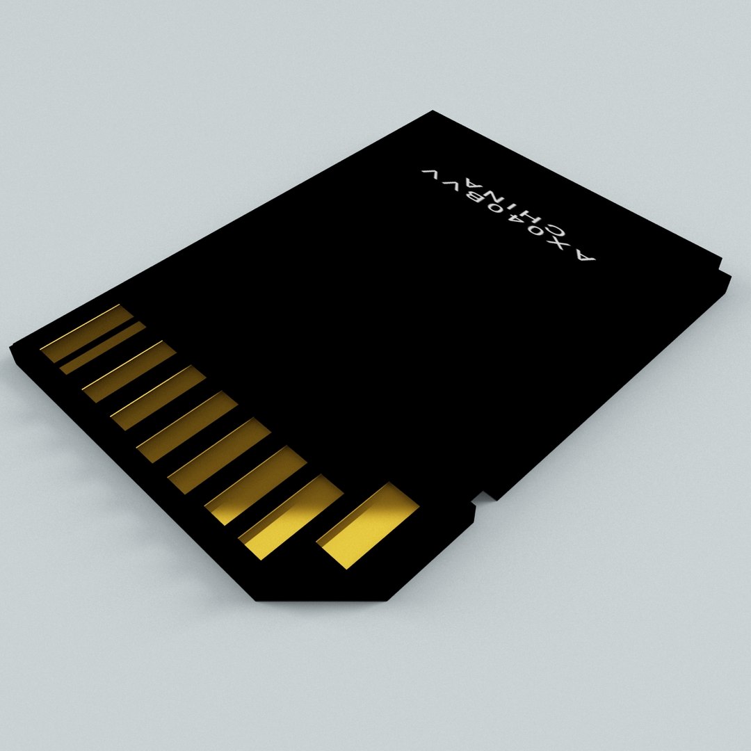 3d Model Of Memory Card Sd 32