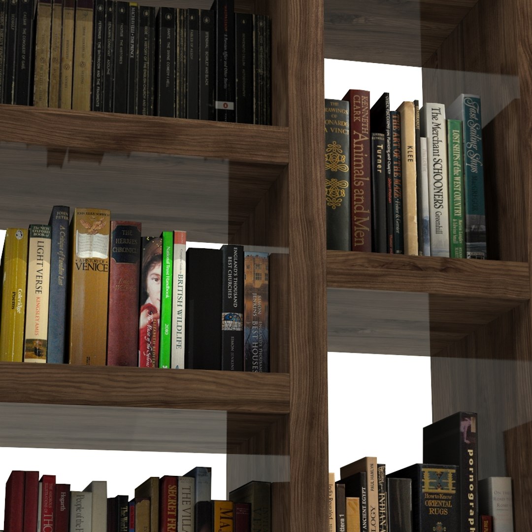 3d Bookcase Books