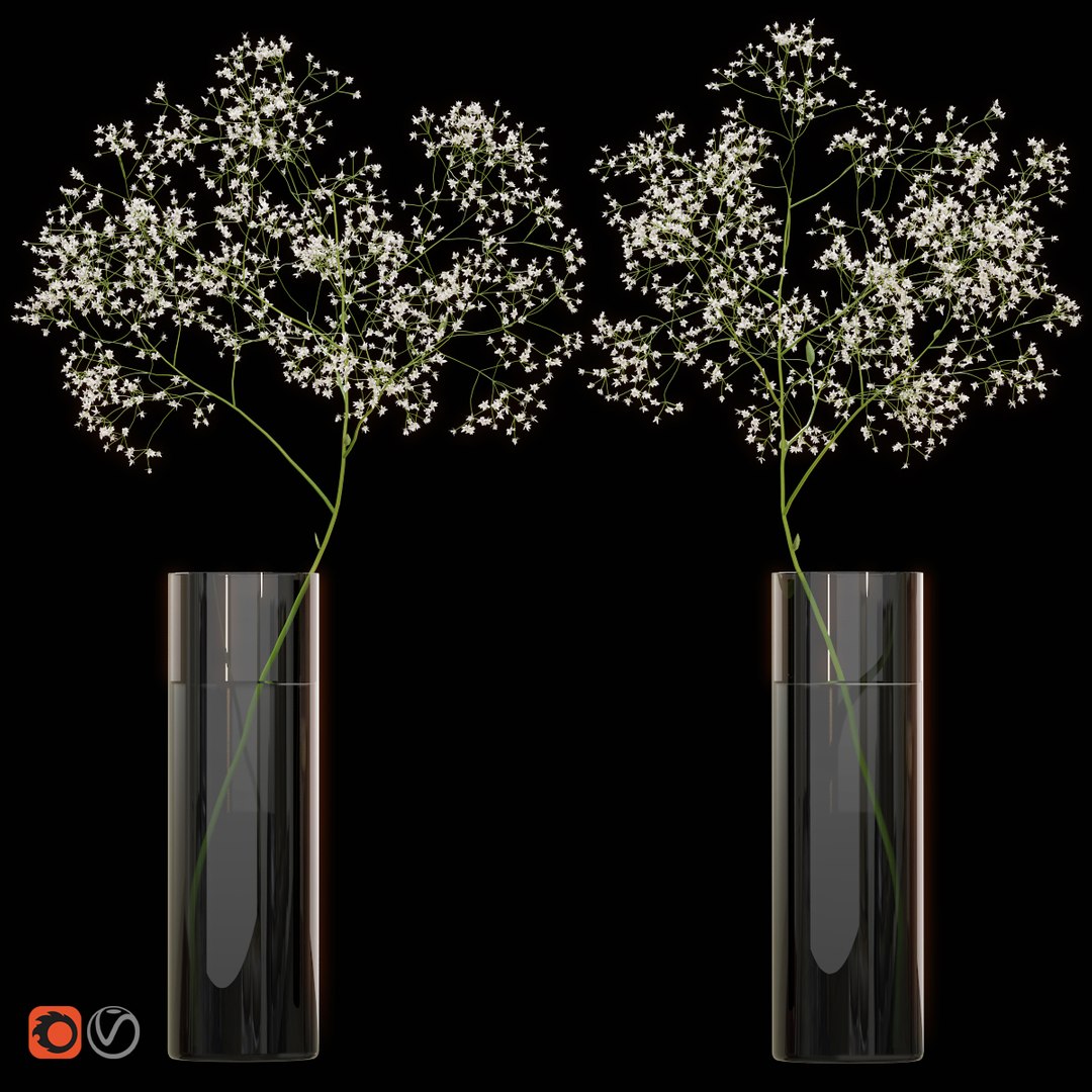3D Gypsophila Flower Vase - TurboSquid 1487722