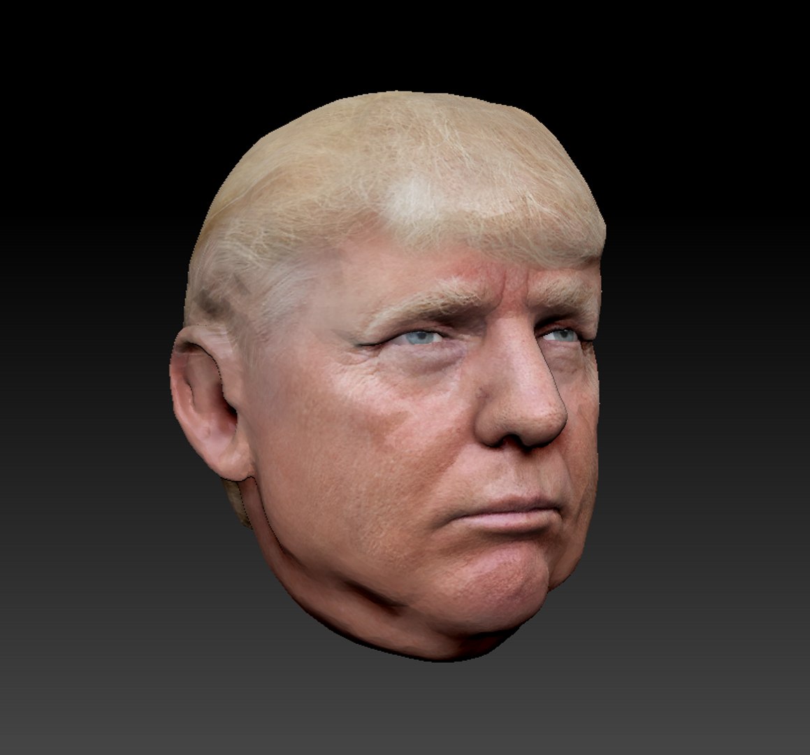 Trump Head 3D Model - TurboSquid 1260122
