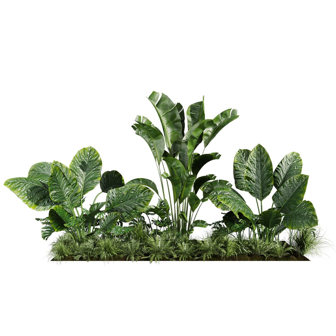 Plant Vol 826 - Banana - Monstera - Grass - Garden 3D Model ...