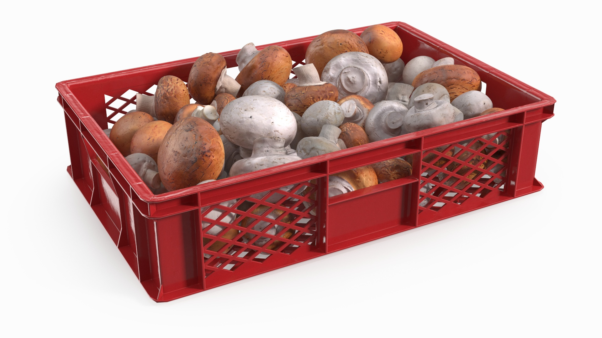 3D Portobello Mushrooms In Plastic Crate - TurboSquid 2386308