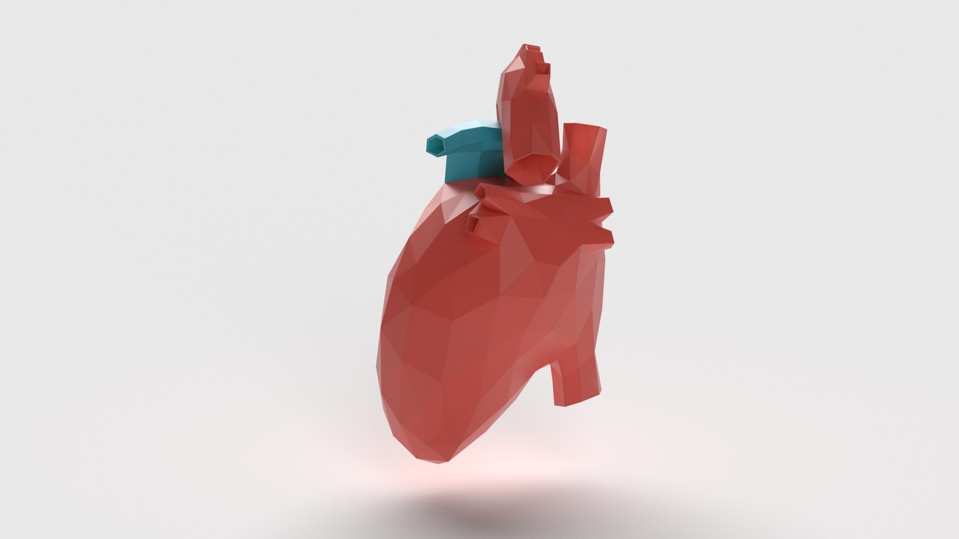 Stylized Low Poly Human Heart 3D - TurboSquid 1755851
