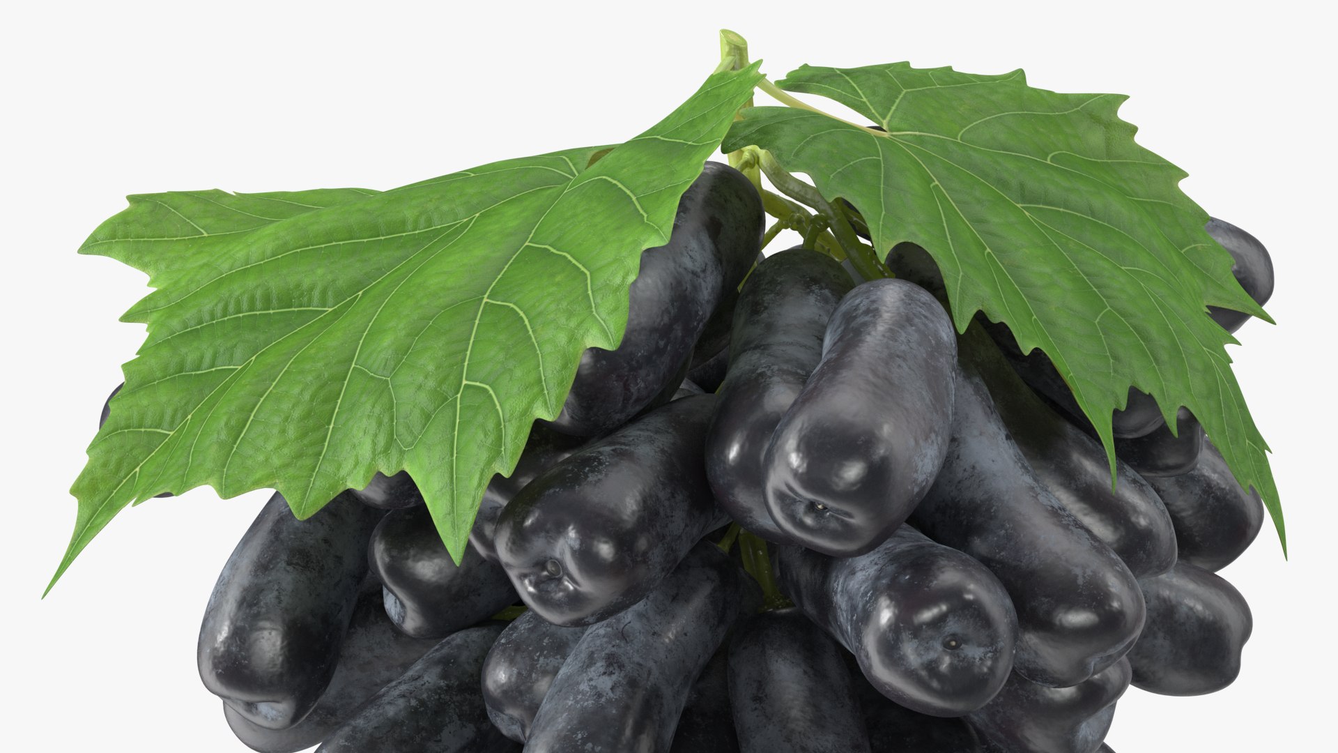 3D Grapes Sweet Sapphire With Leaf - TurboSquid 2201913