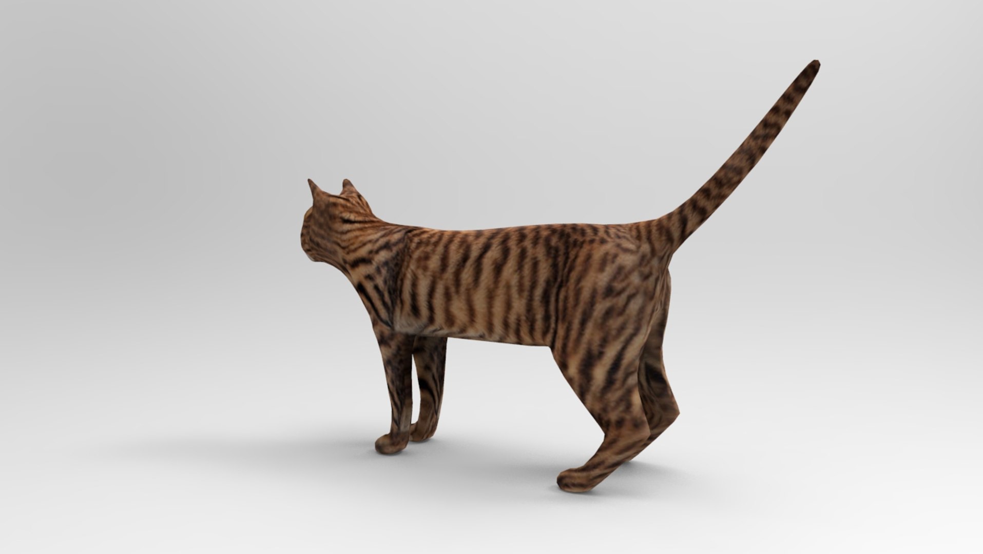 Cat Rigged 3D Model | 1142665 | TurboSquid