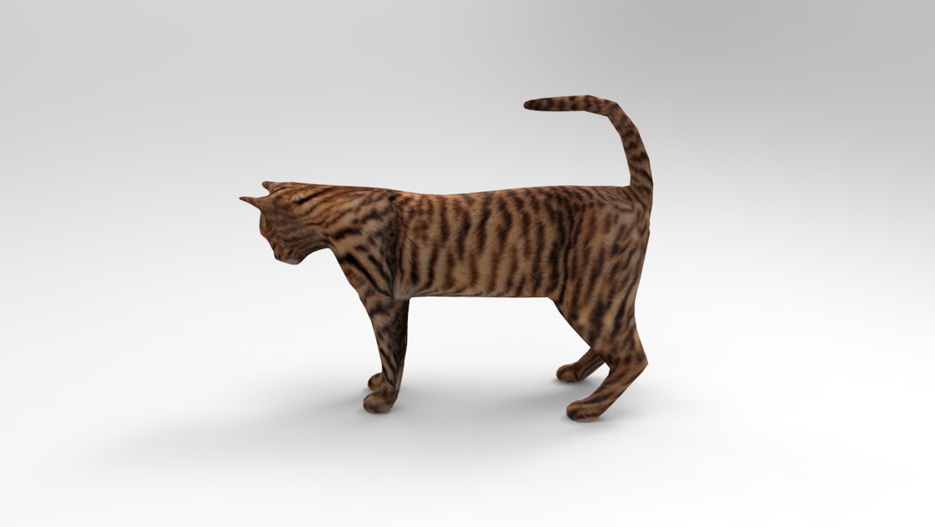 Cat Rigged 3D Model | 1142665 | TurboSquid