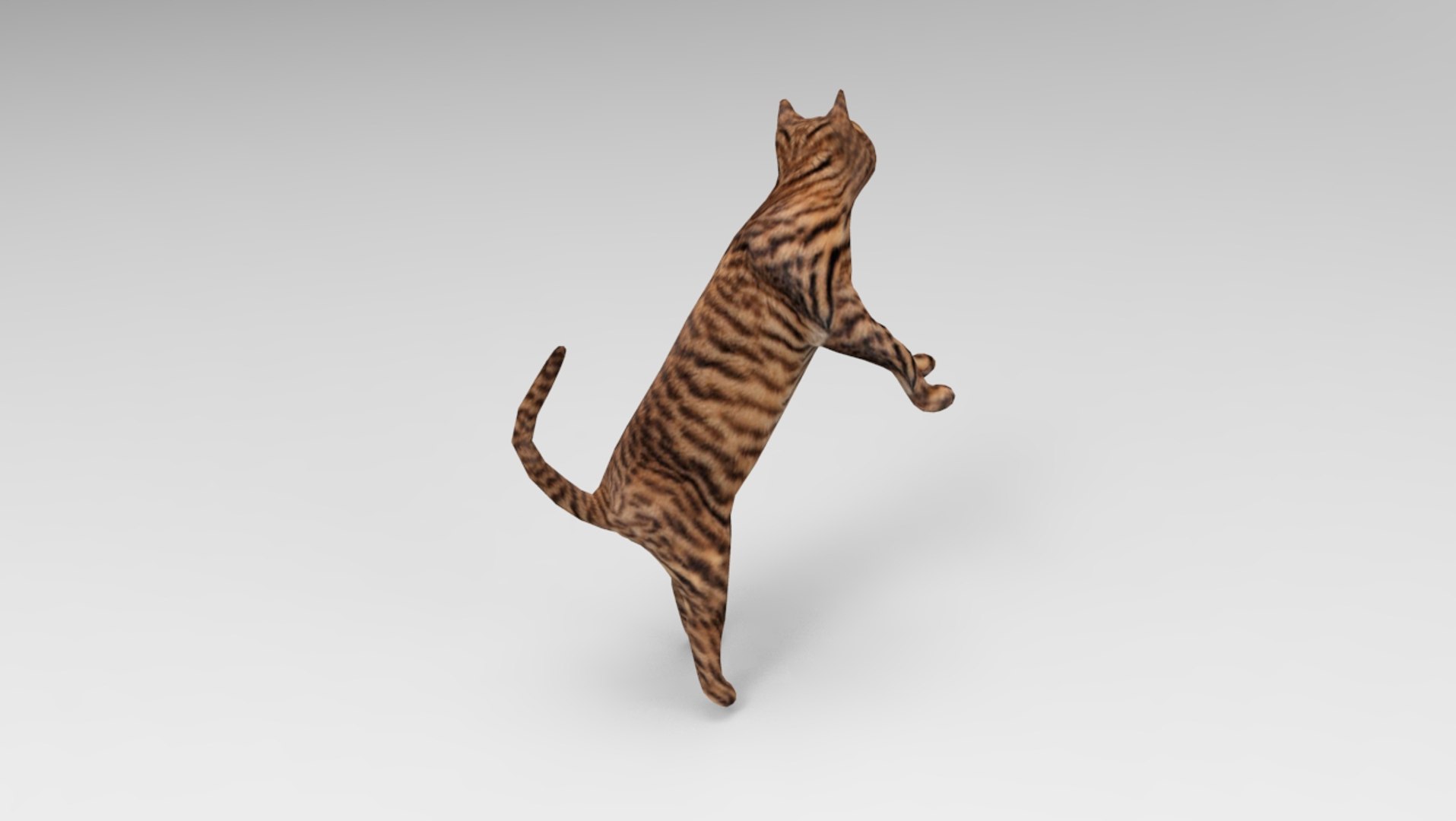Cat Rigged 3D Model | 1142665 | TurboSquid