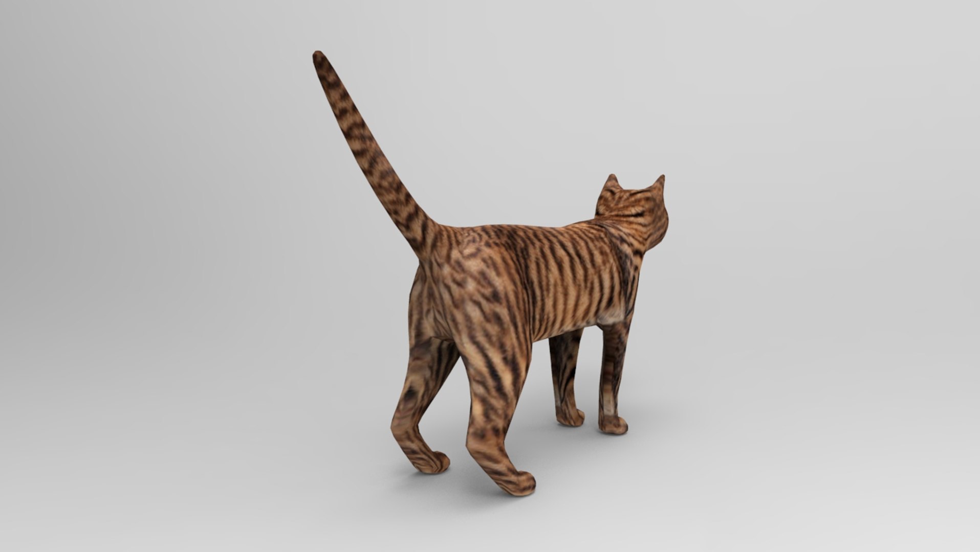 Cat Rigged 3D Model | 1142665 | TurboSquid
