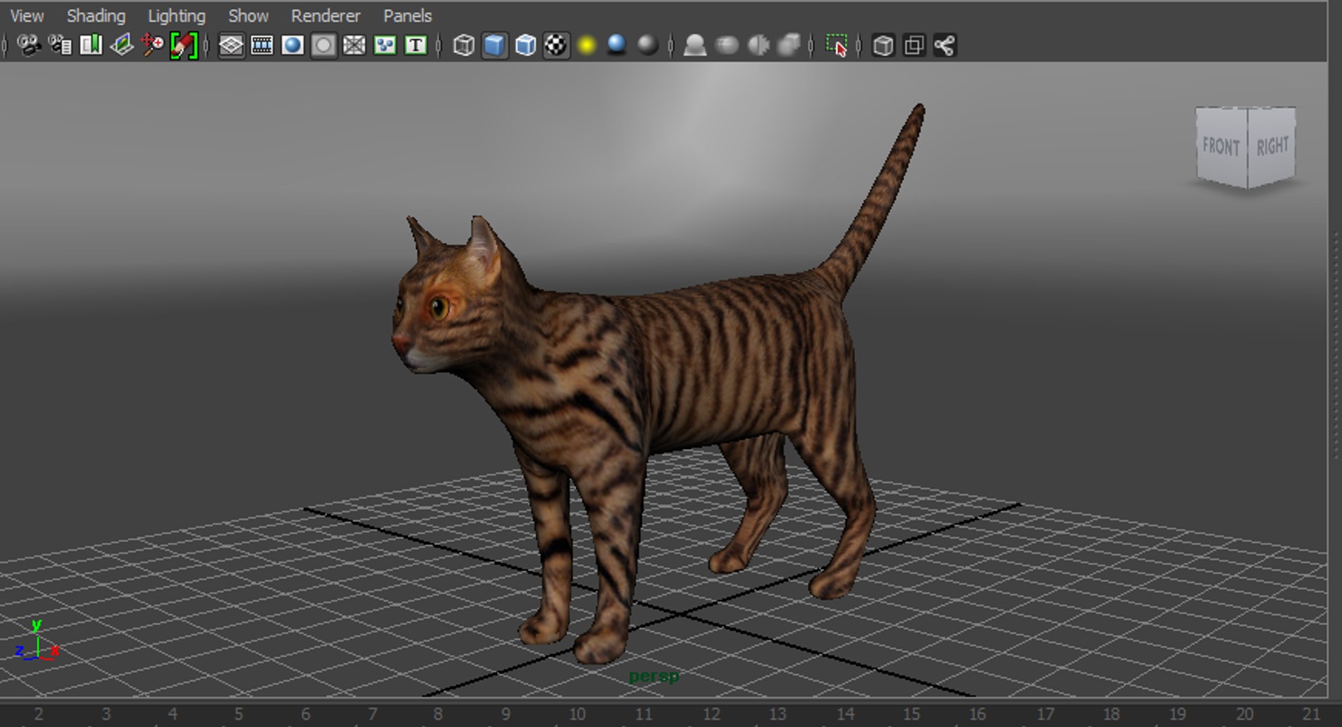 Cat Rigged 3D Model | 1142665 | TurboSquid