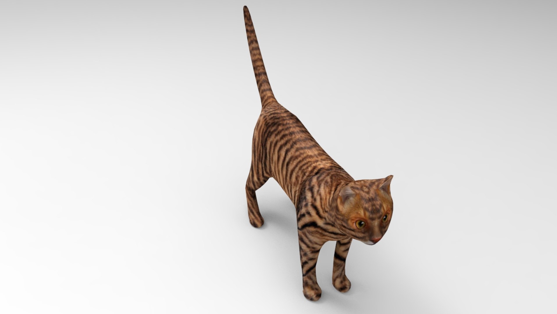 Cat Rigged 3D Model | 1142665 | TurboSquid