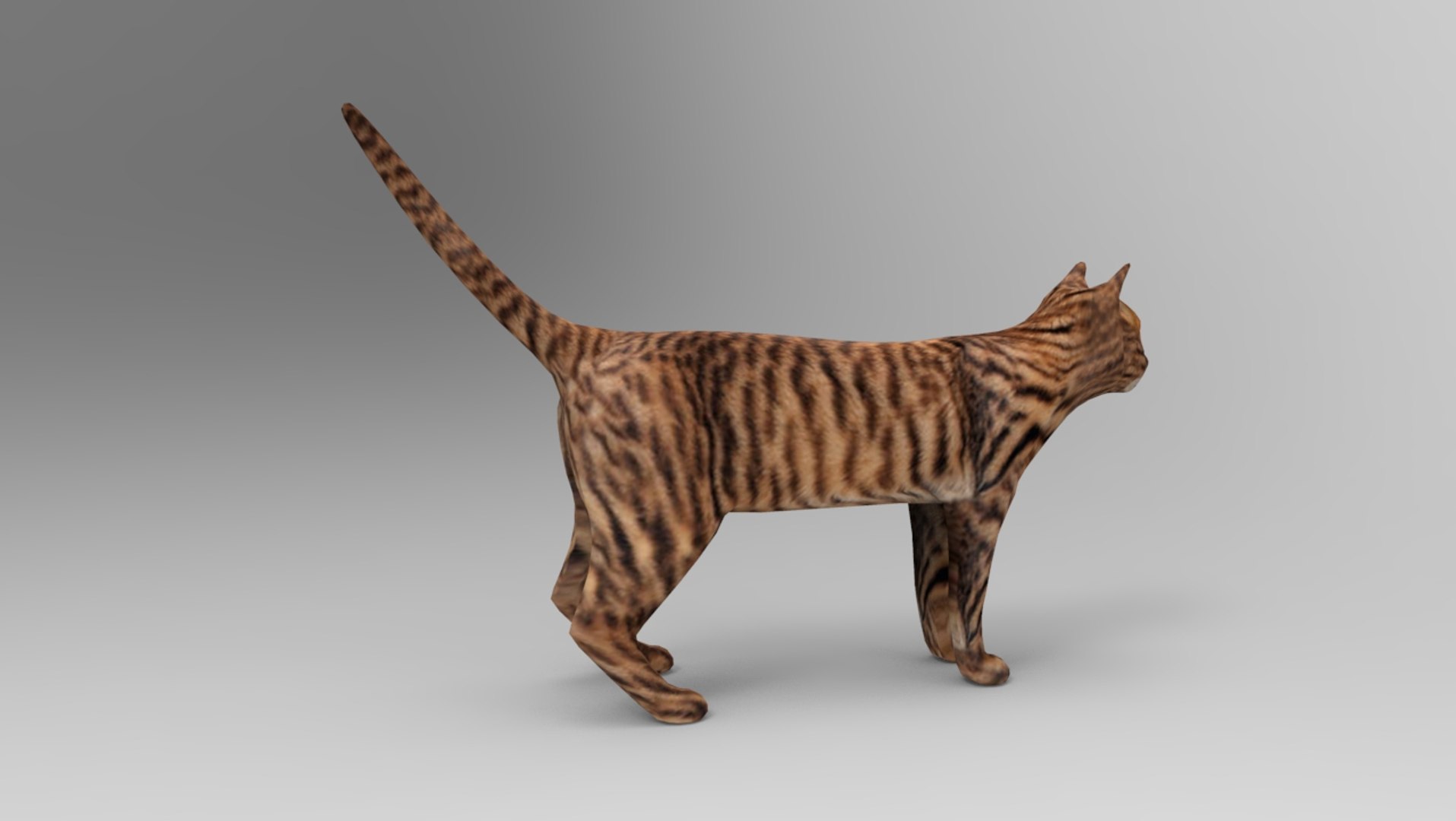 Cat Rigged 3D Model | 1142665 | TurboSquid