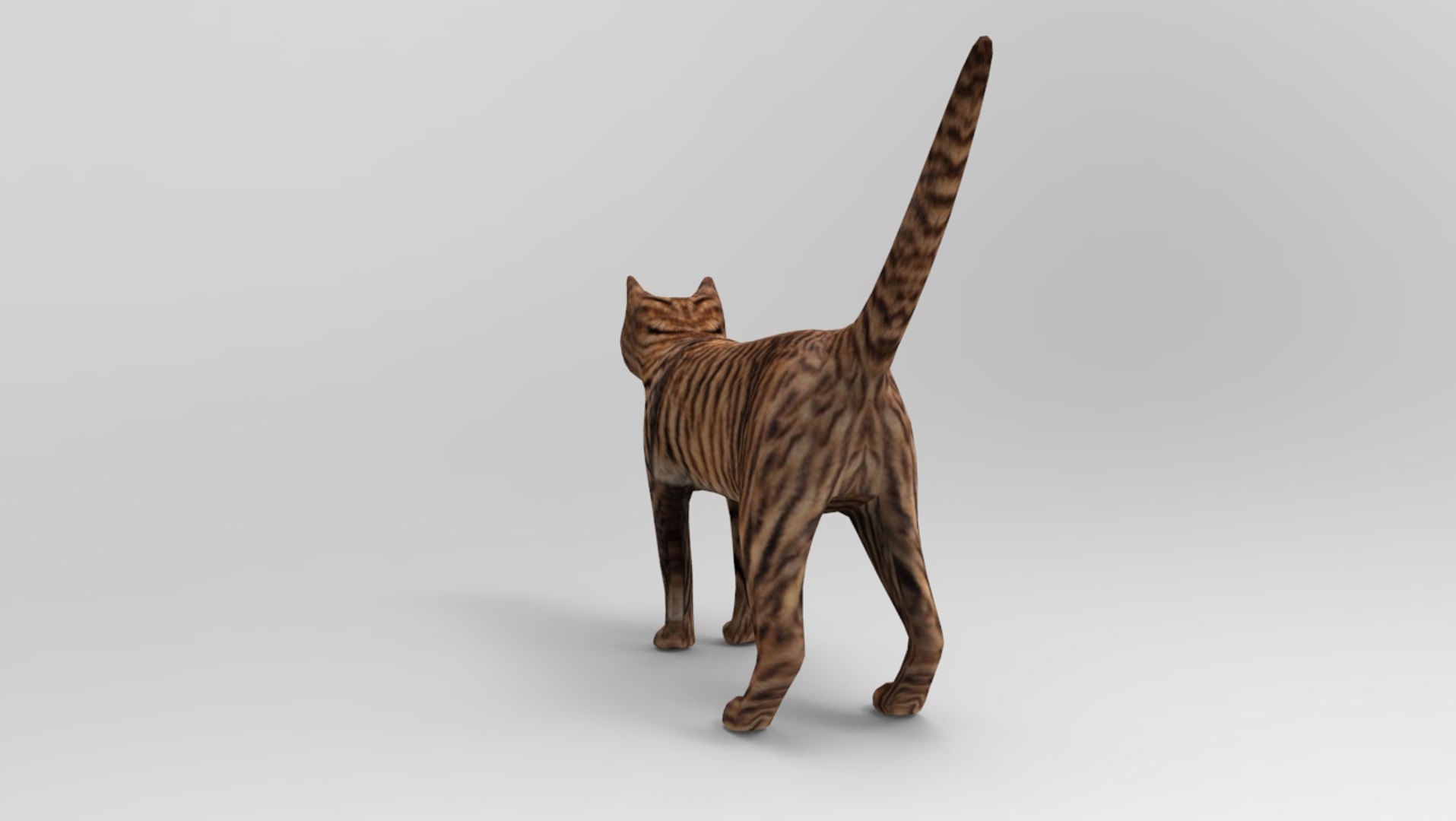 Cat Rigged 3D Model | 1142665 | TurboSquid