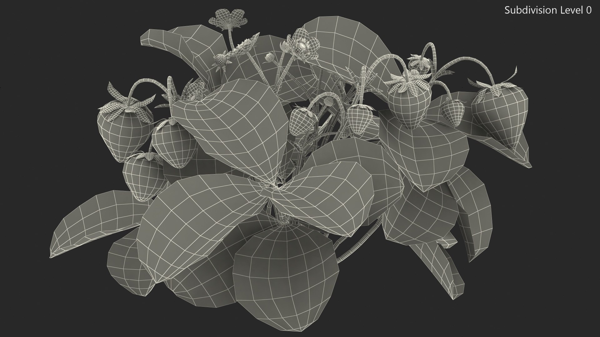 Garden strawberry plant fruits 3D model - TurboSquid 1623341