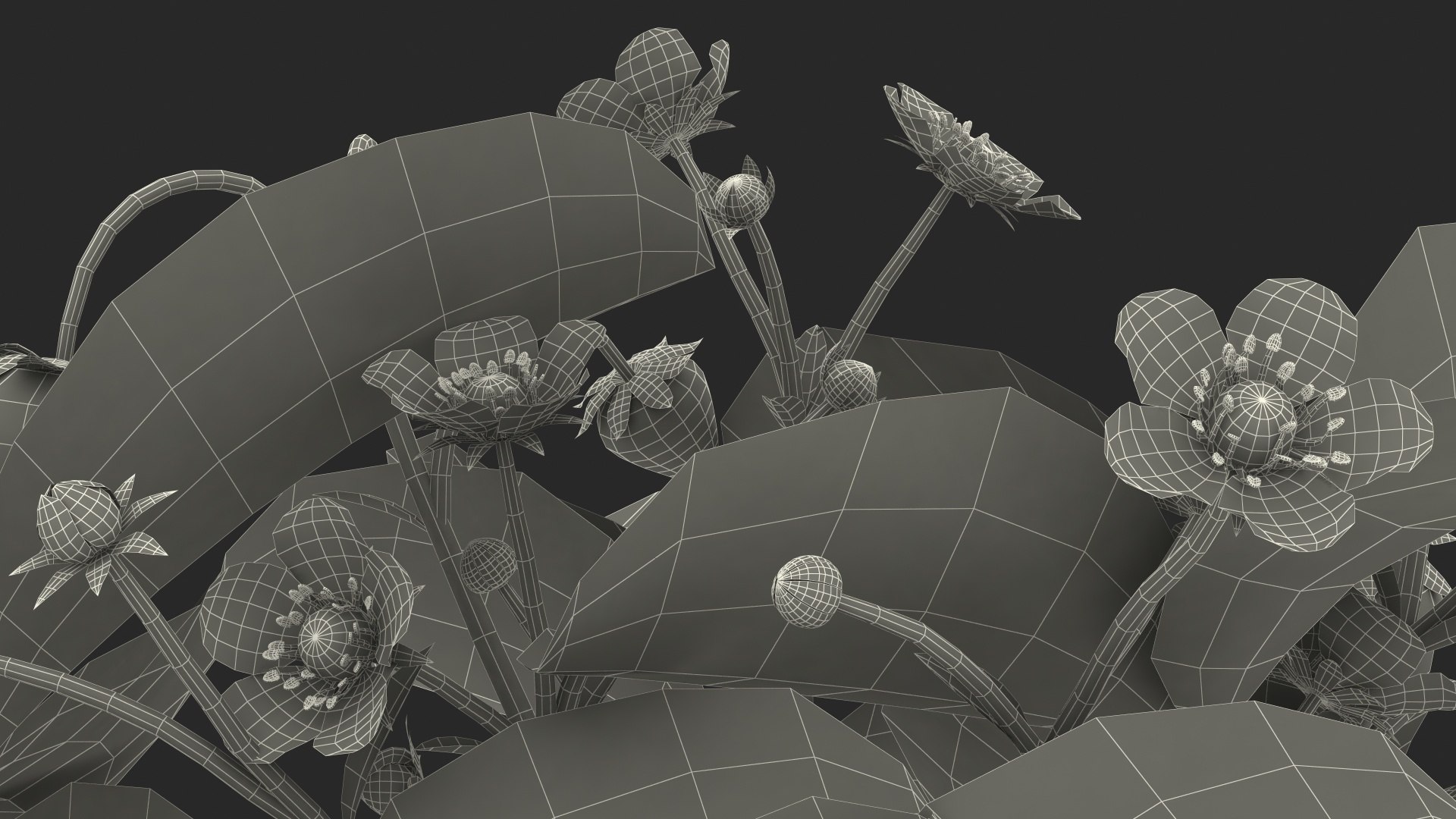 Garden strawberry plant fruits 3D model - TurboSquid 1623341