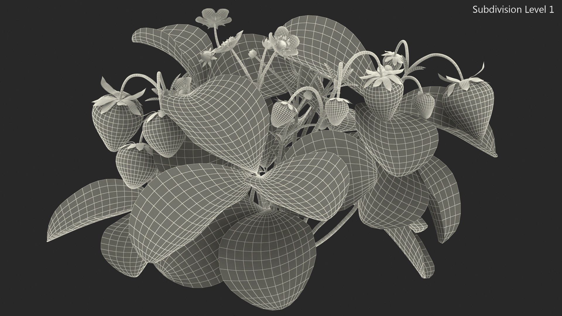 Garden strawberry plant fruits 3D model - TurboSquid 1623341