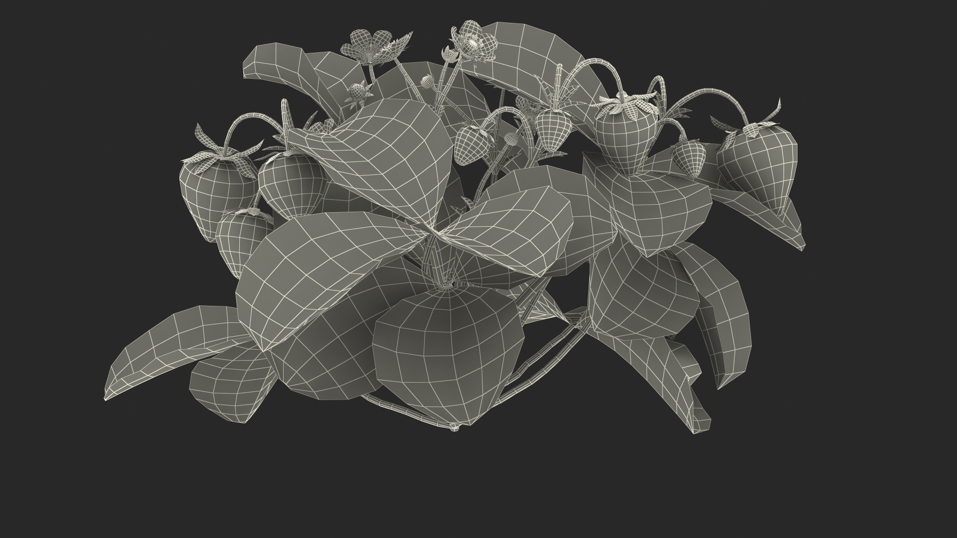 Garden strawberry plant fruits 3D model - TurboSquid 1623341