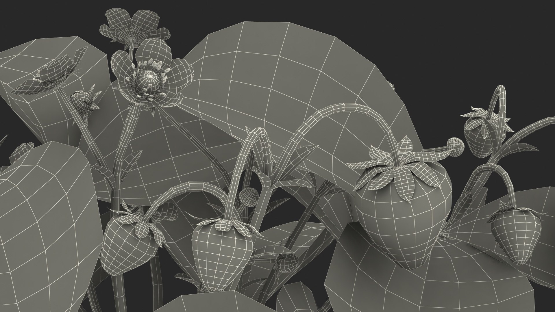 Garden strawberry plant fruits 3D model - TurboSquid 1623341