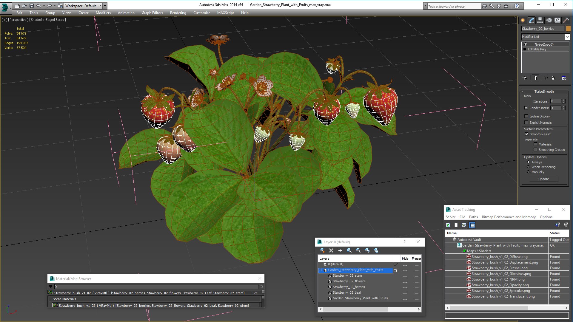 Garden strawberry plant fruits 3D model - TurboSquid 1623341