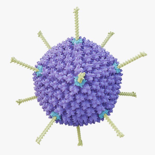 3D Adenovirus model - TurboSquid 2043676