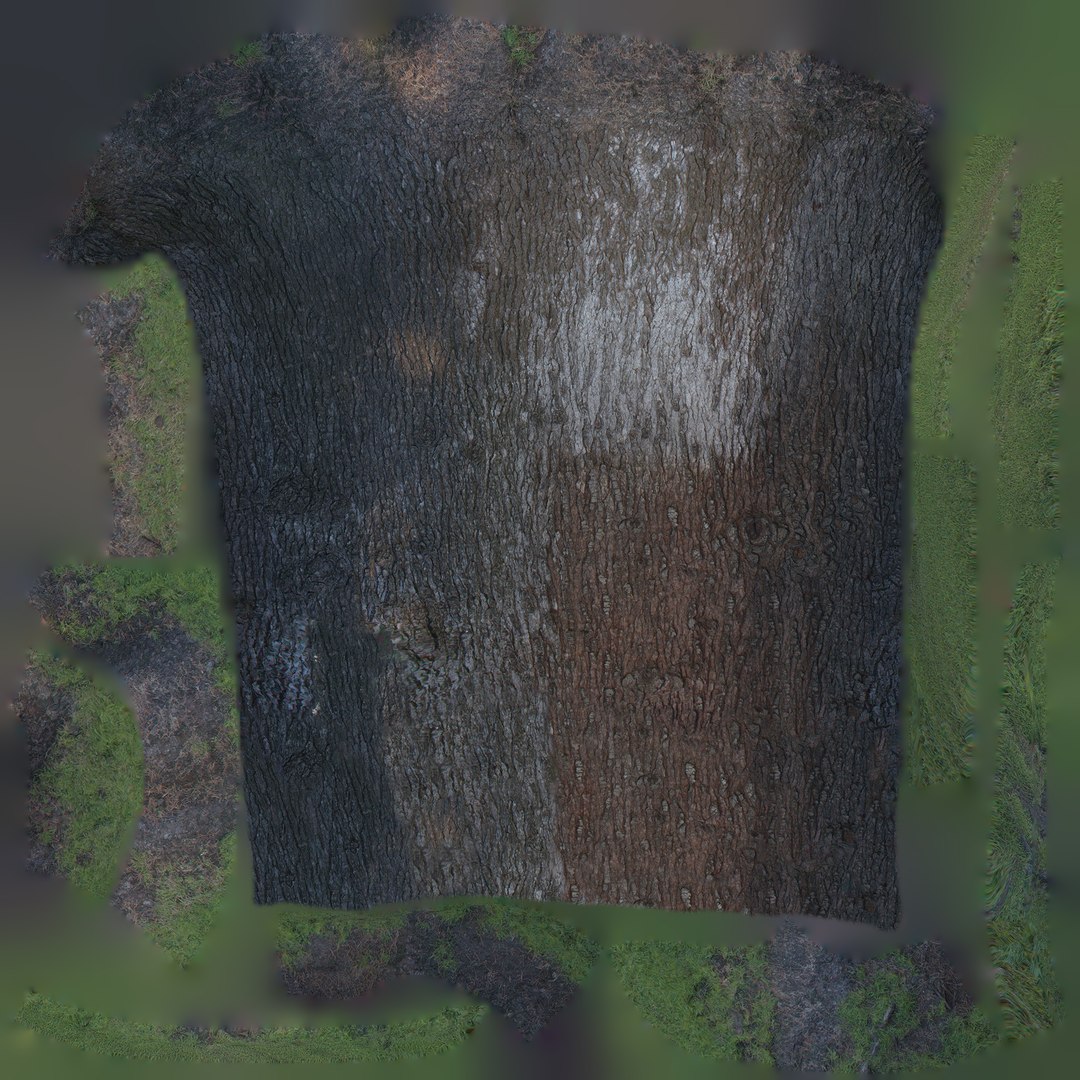 3D Tree Trunk - Model - TurboSquid 1442623
