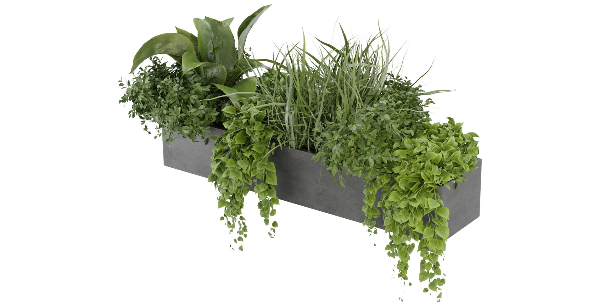 3D Collection plant vol 333 - blender - TurboSquid 2093091