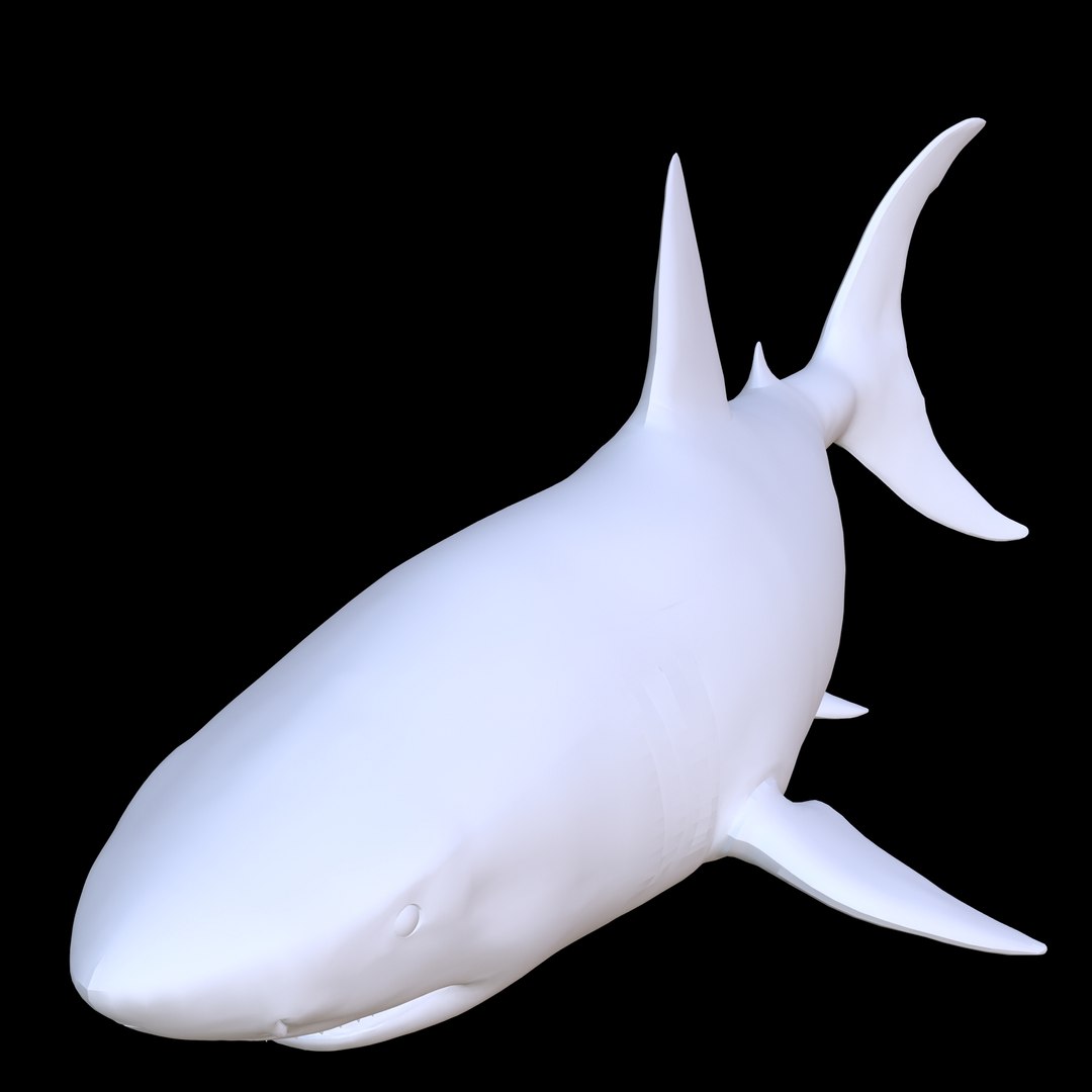 SHARK ANIMATED FISH 3D Model - TurboSquid 2381437