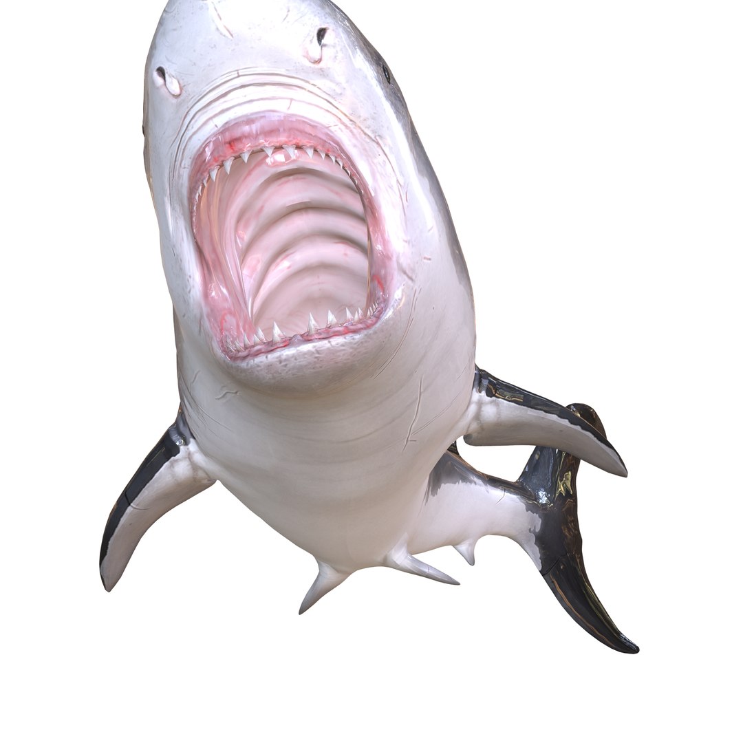 SHARK ANIMATED FISH 3D Model - TurboSquid 2381437
