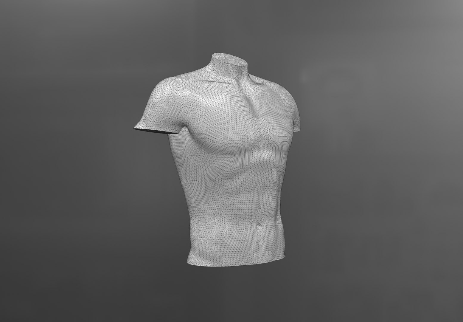 3D Model Anime Torso Male - TurboSquid 2098958