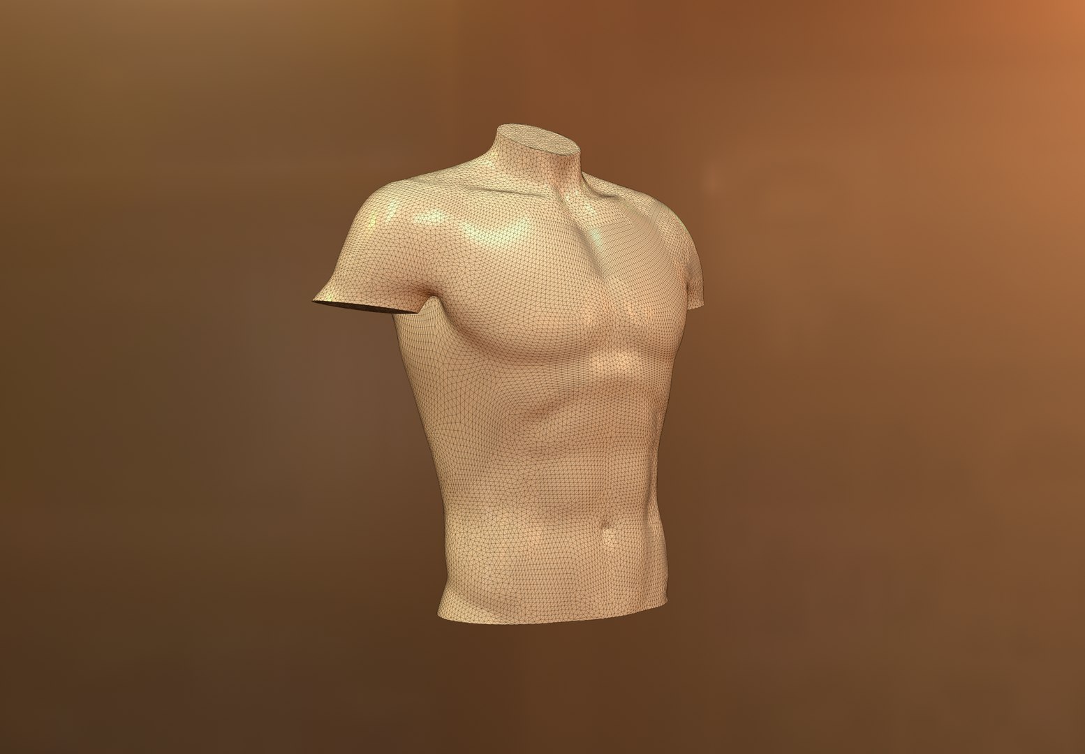3D Model Anime Torso Male - TurboSquid 2098958