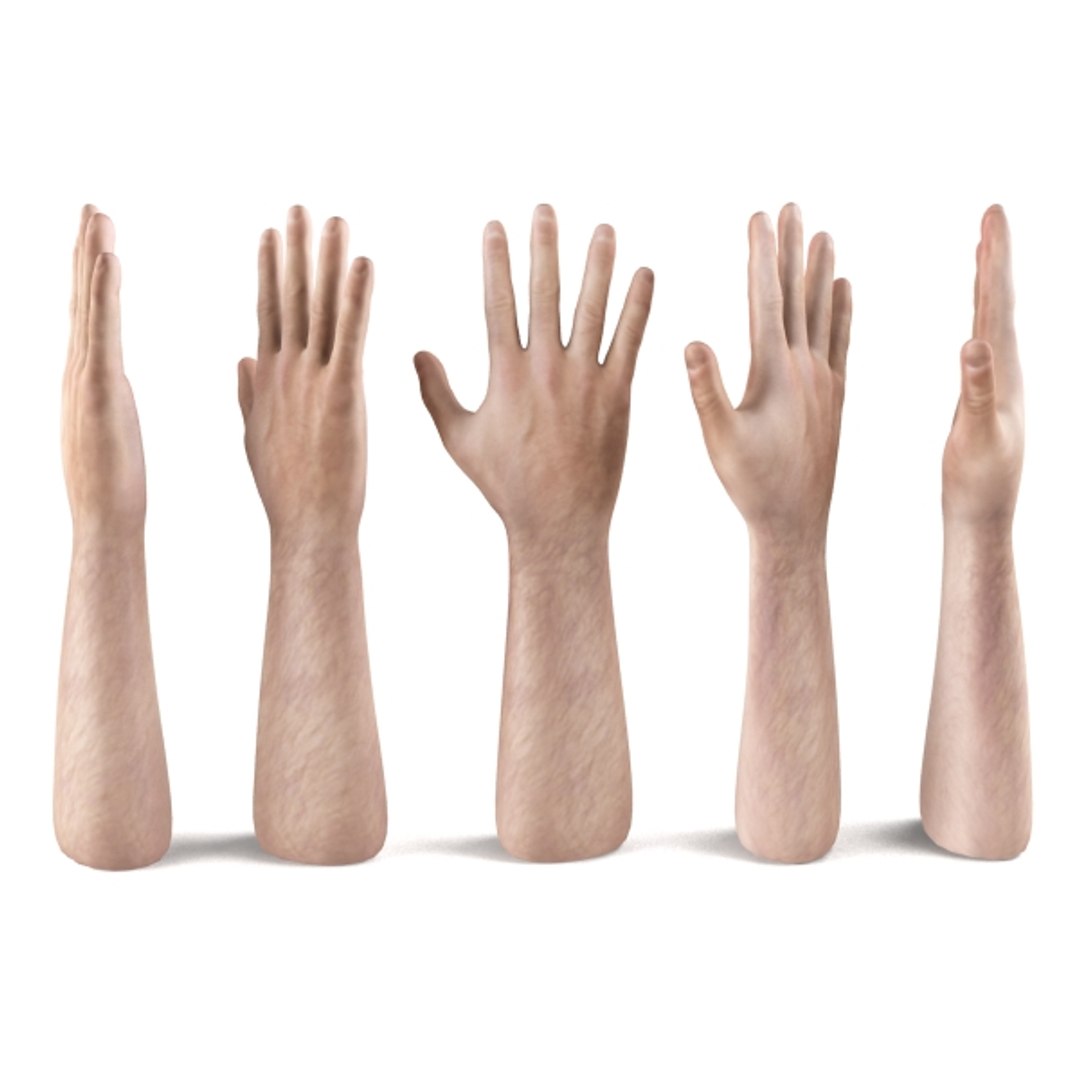 3d Model Realistic Male Hand