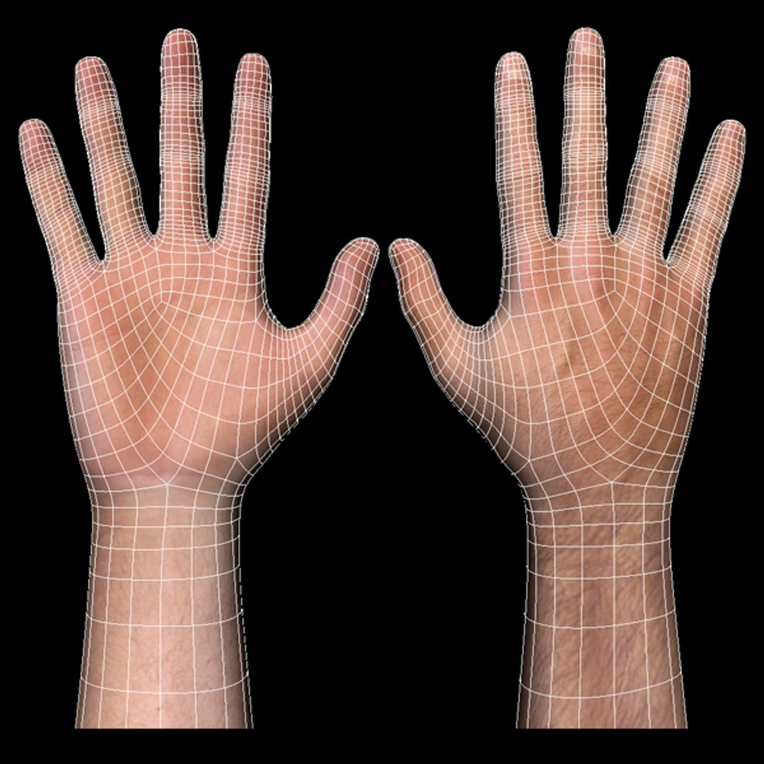 3d Model Realistic Male Hand