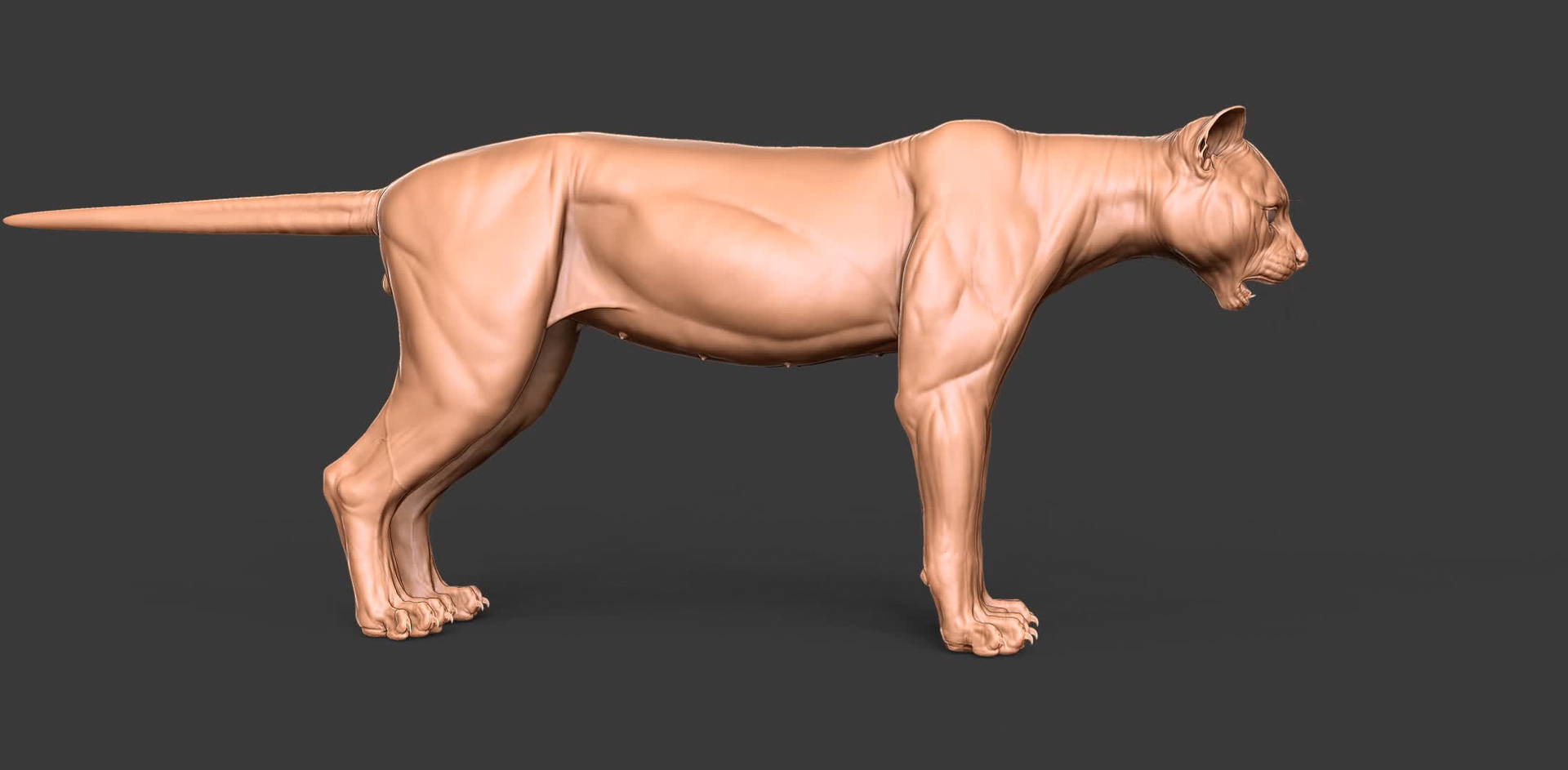 Fully Detailed Ocelot Cat Zbrush Sculpt 3D - TurboSquid 1842973