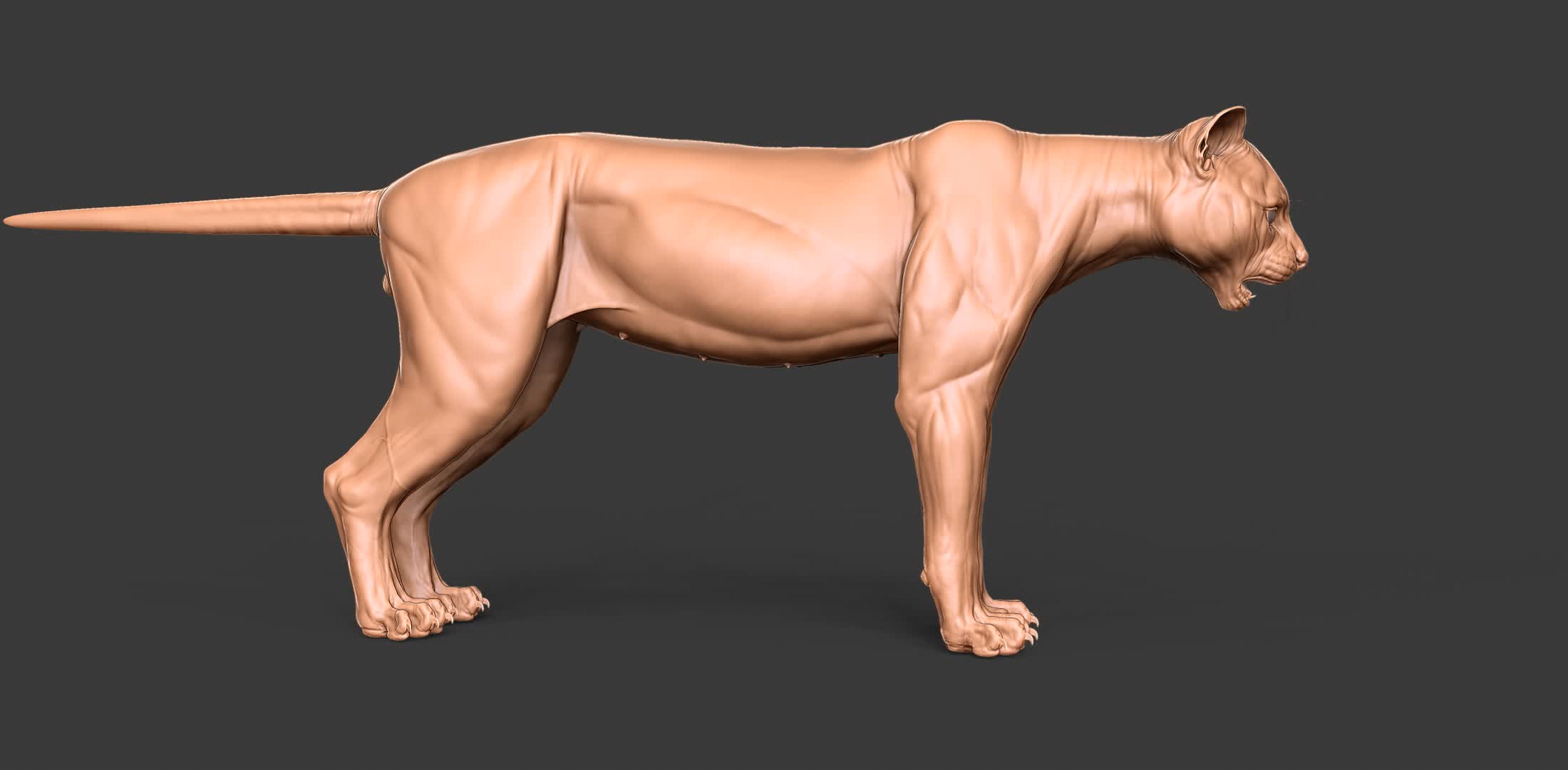 Fully Detailed Ocelot Cat Zbrush Sculpt 3D - TurboSquid 1842973