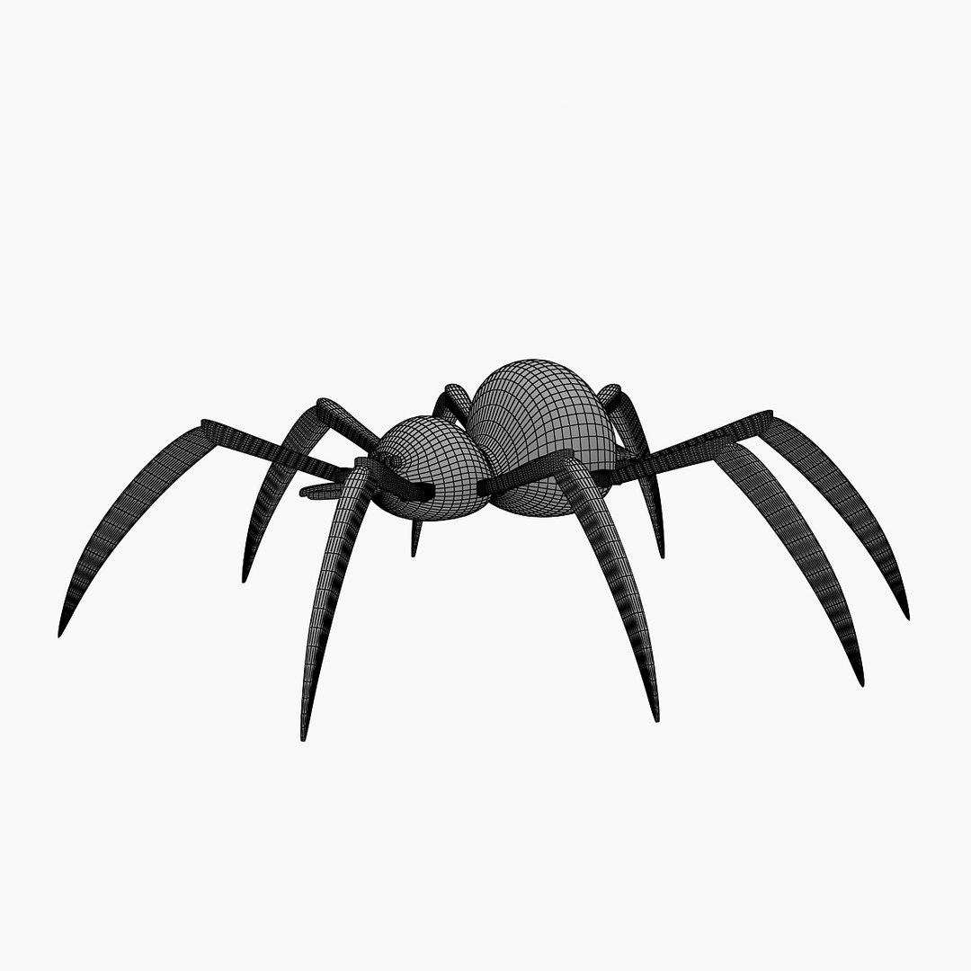 3D Model Print Spider - TurboSquid 1516747