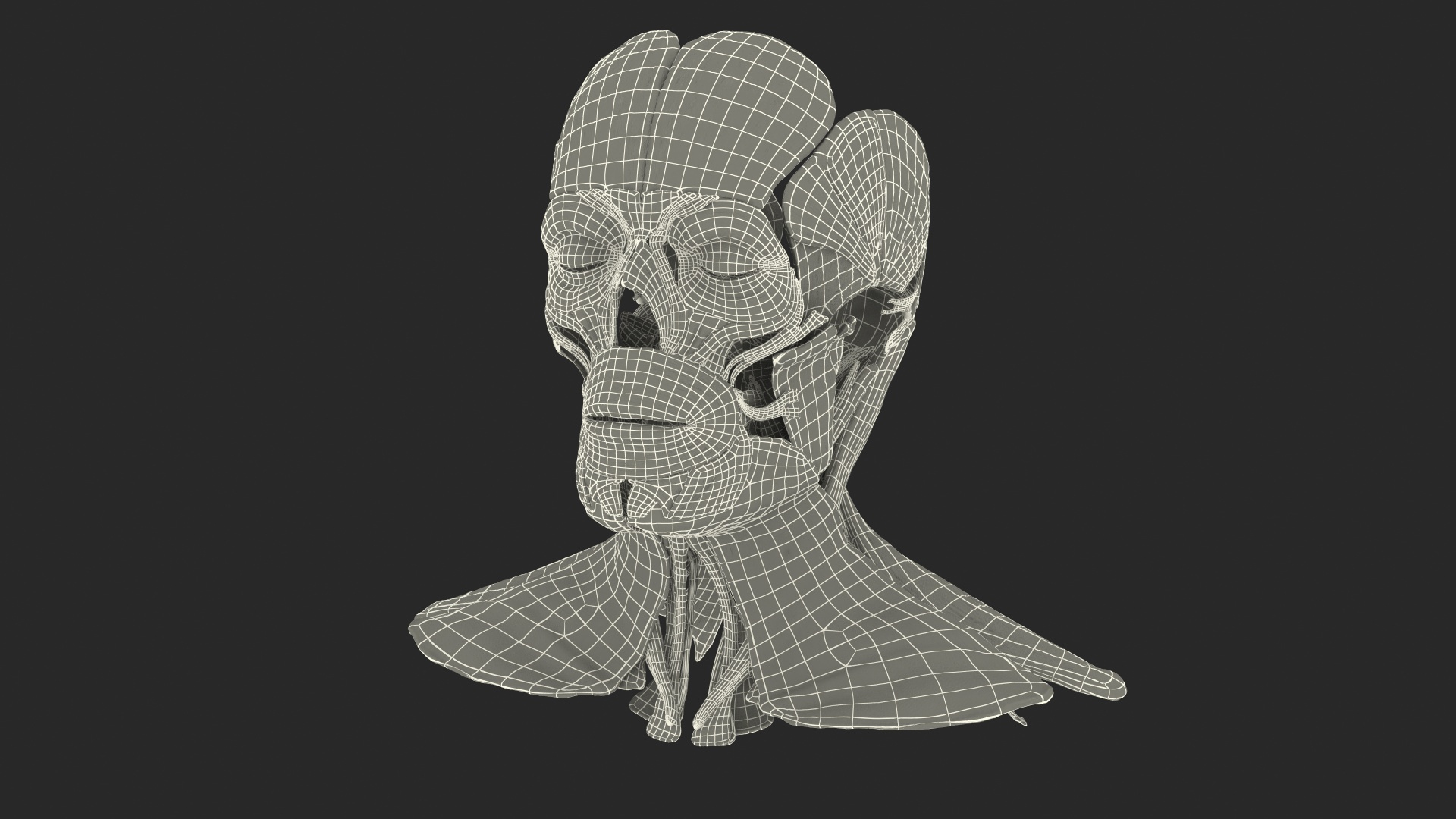 Human Head Anatomy Collection 3D - TurboSquid 1918454