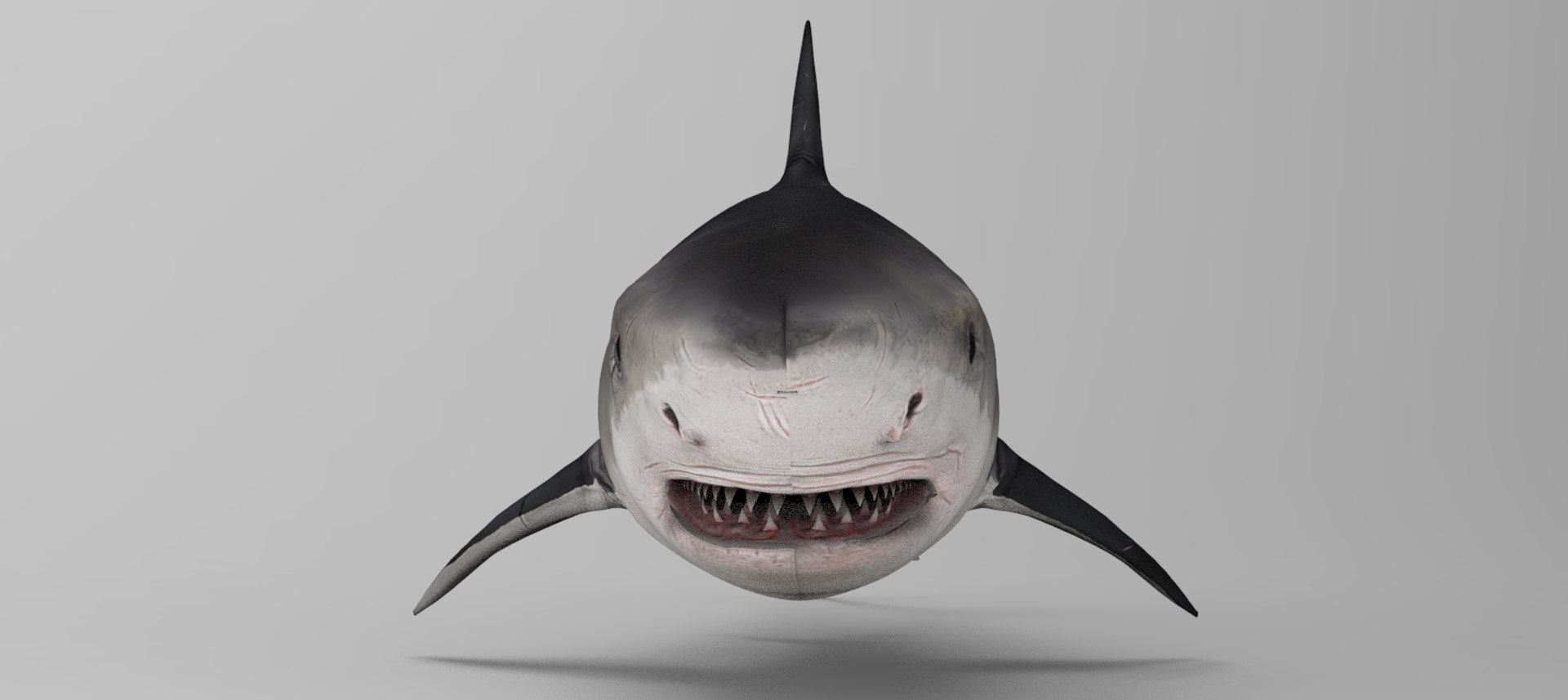 Shark 3D Model - TurboSquid 2200542
