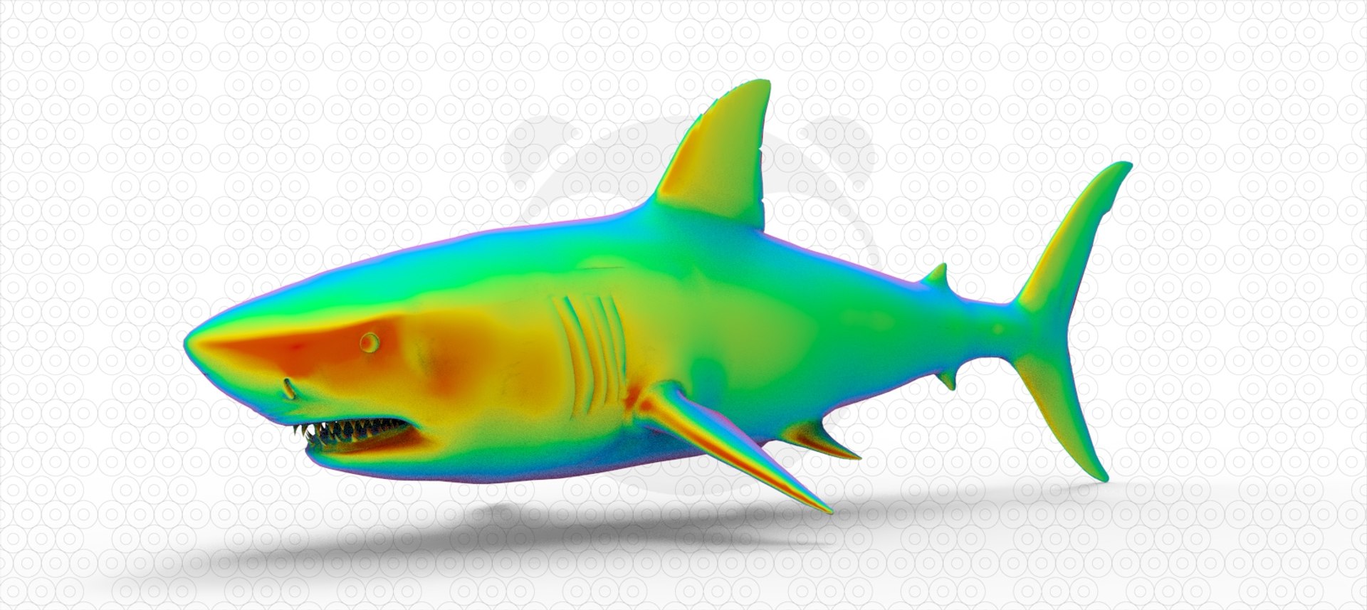 Shark 3D Model - TurboSquid 2200542