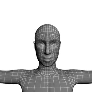 Anatomy 3D Models for Download | TurboSquid