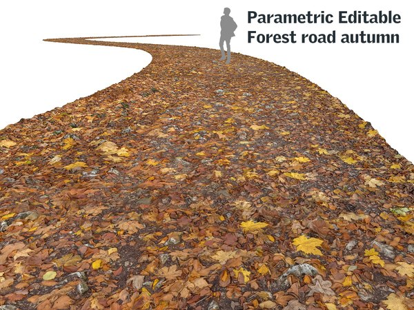 Free 3D Path Models | TurboSquid