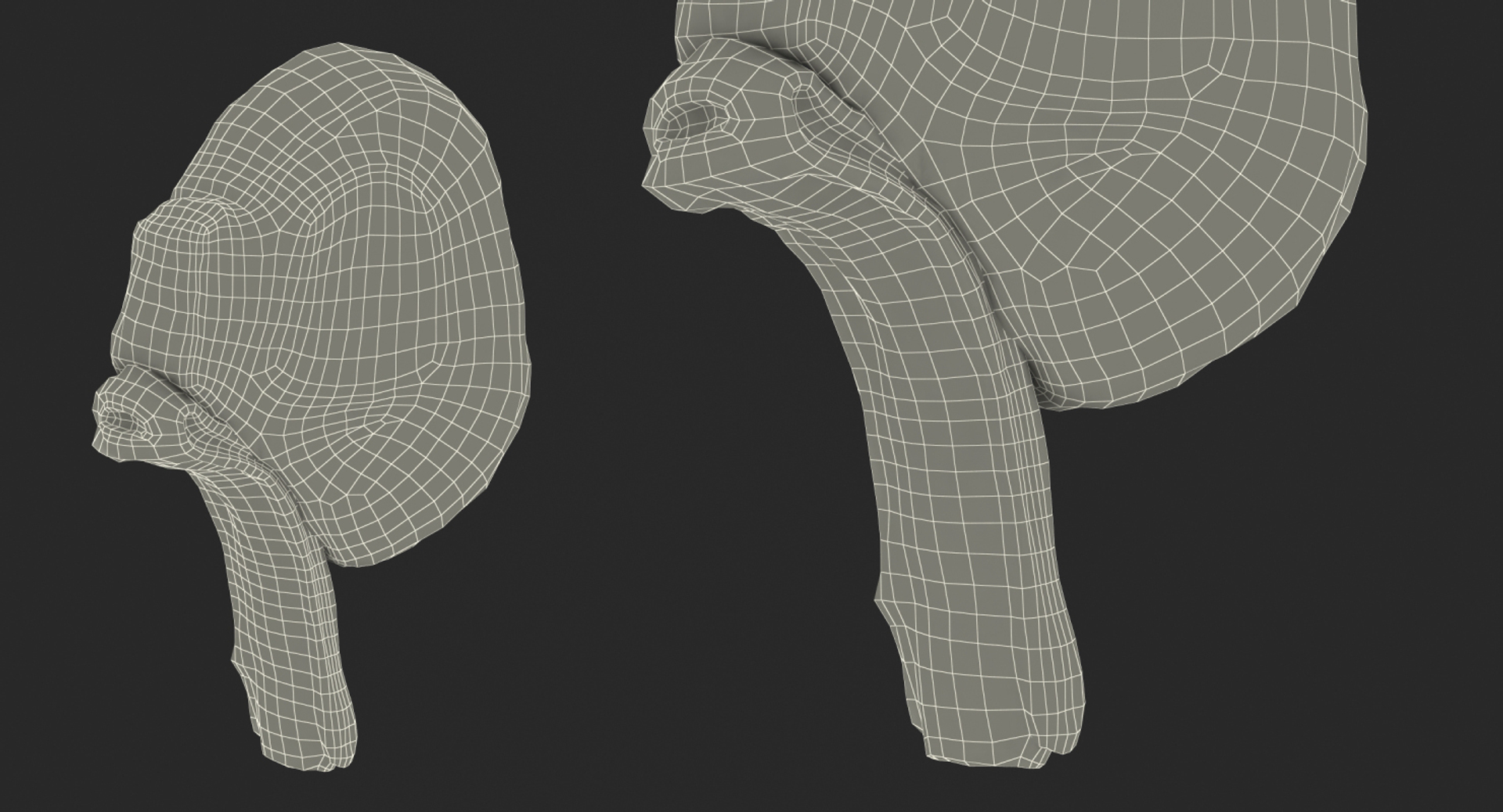 3D Beef Ribeye Steak Bone - TurboSquid 1408775