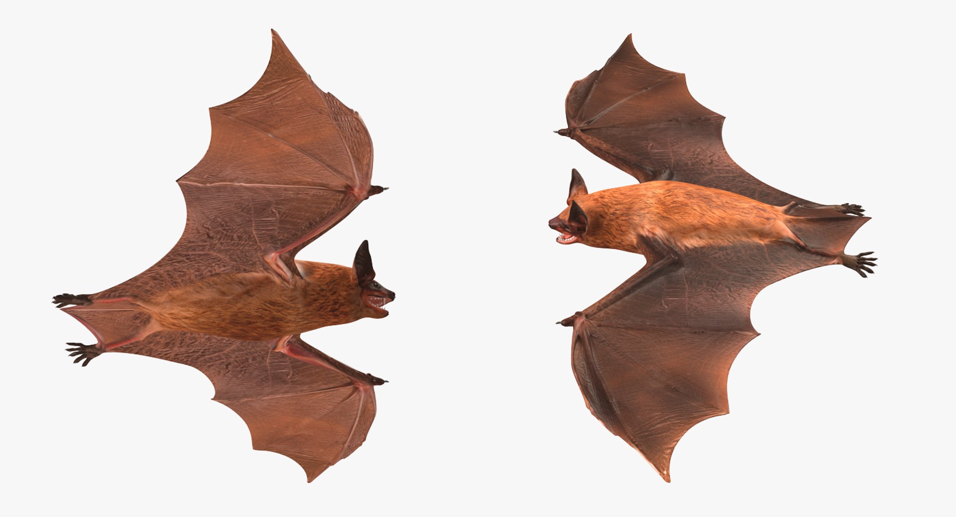 3ds bat realistic