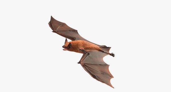 3ds bat realistic